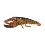 Salmon Price in Pakistan | Buy Fresh Imported Salmon Fish Online