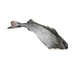 Salmon Price in Pakistan | Buy Fresh Imported Salmon Fish Online